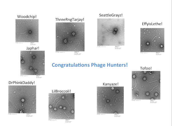 PHAGE hunters – ReBUILDetroit